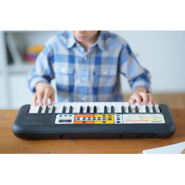 YAMAHA PSS-F30 Yamaha PSS-F30 sintetizzatore Sintetizzatore digitale 37 ...